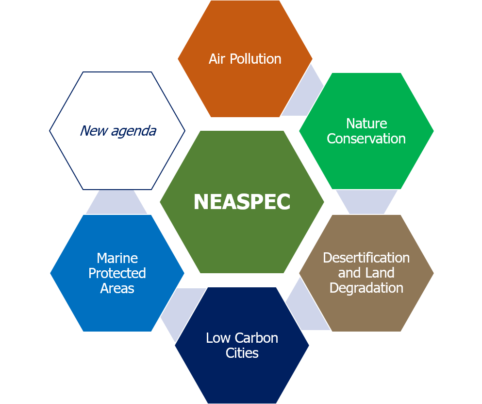 About NEASPEC | NEASPEC.ORG